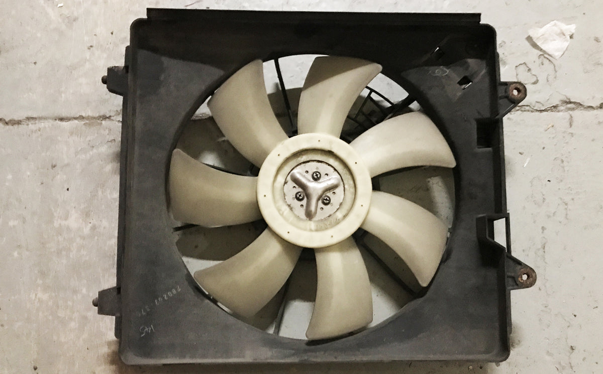 Honda Civic Type R FN2 - Fan – HOUSE OF H.S.P